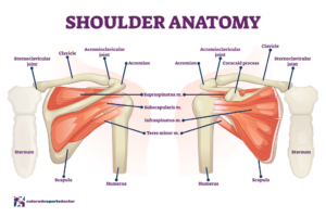Identifying the Red Flags for Shoulder Pain