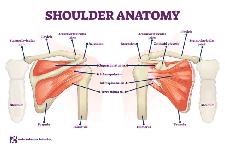 Identifying the Red Flags for Shoulder Pain