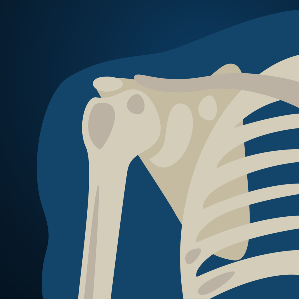 Dr. Chris Jones | Orthopedic Surgeon in Colorado Springs